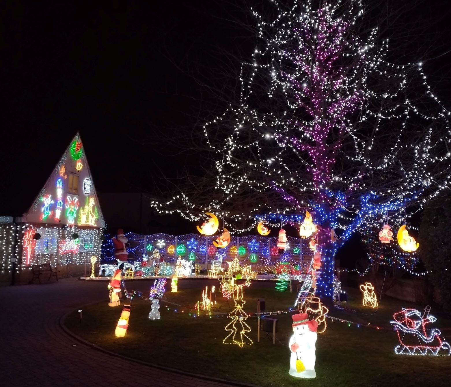 I got distracted... - Mouse & Muse